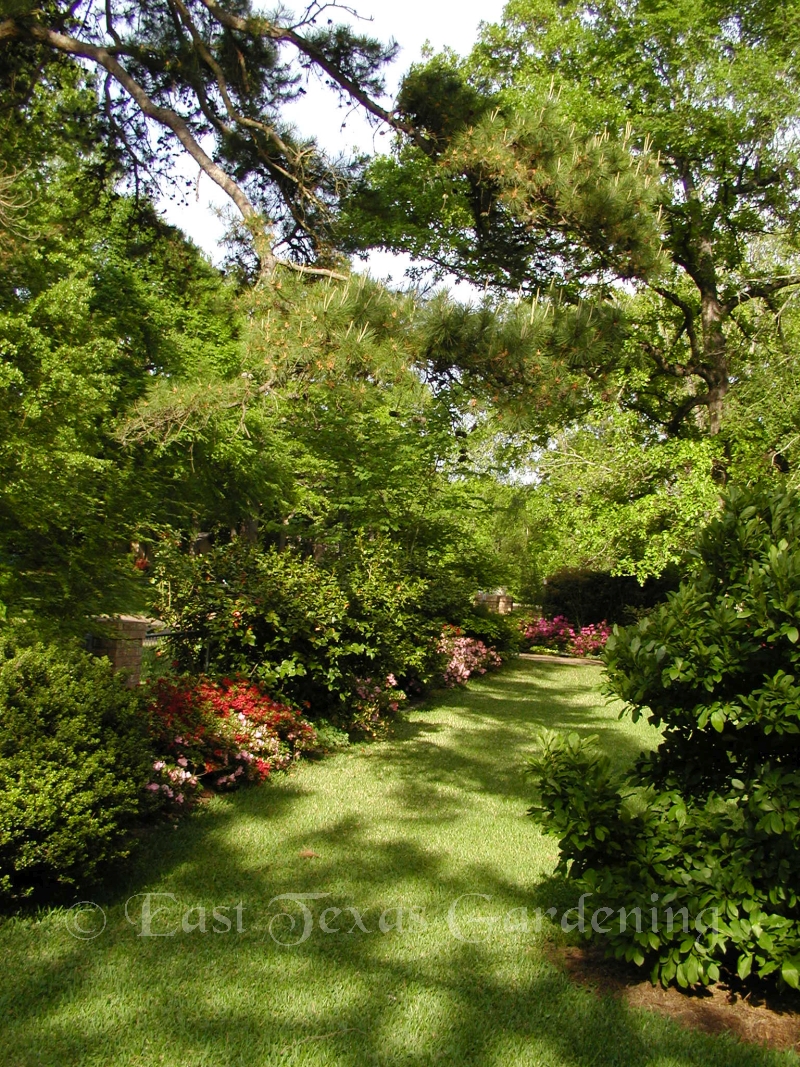 East Texas Gardening with Keith Hansen